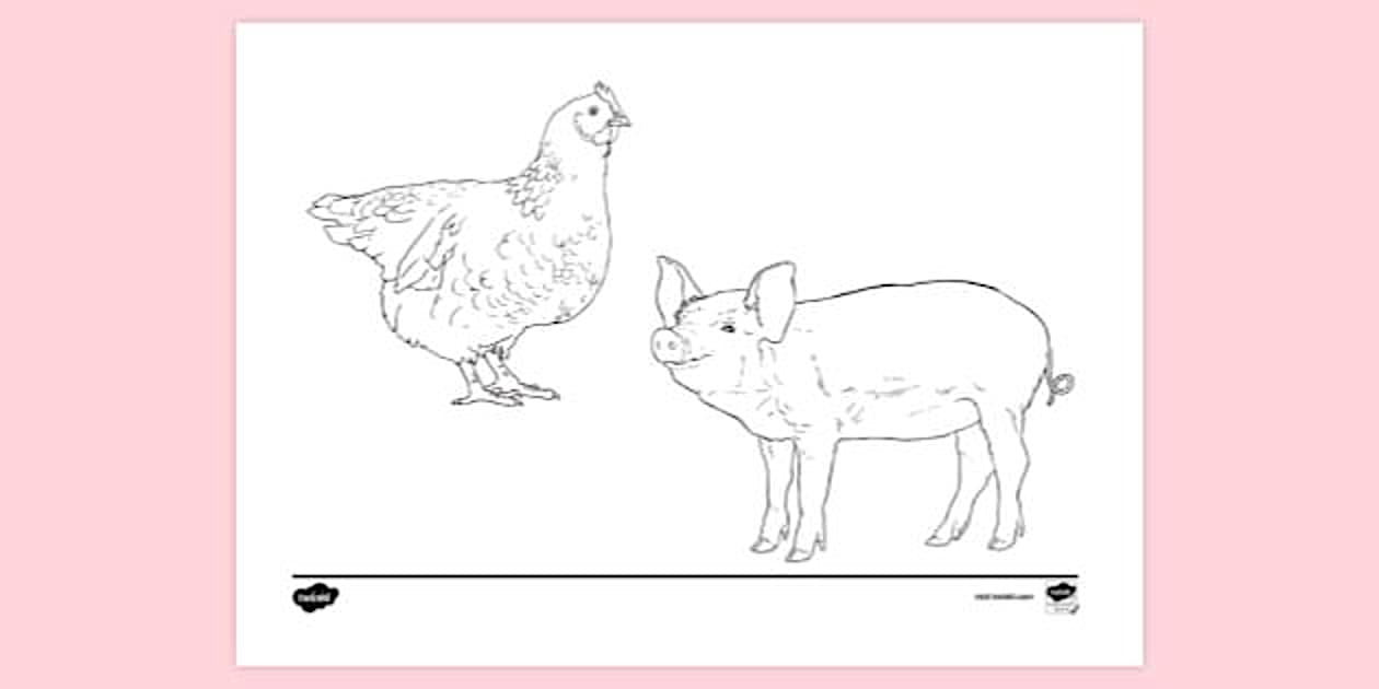 Chicken and Pig Colouring Sheet | Colouring Sheets | Twinkl