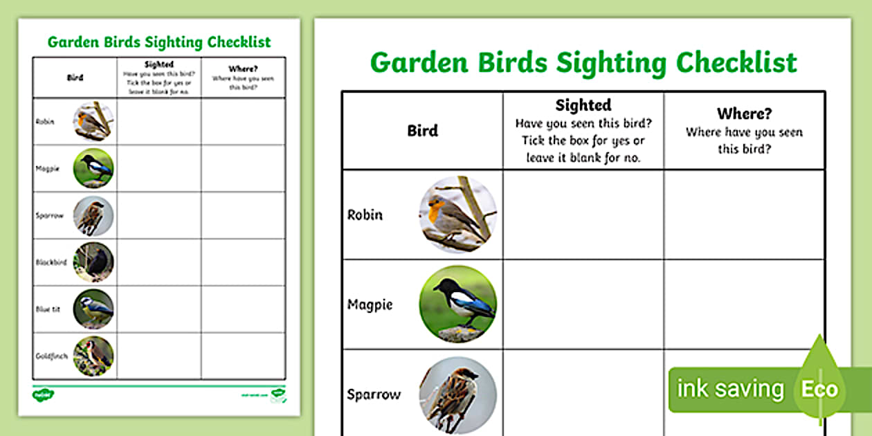 Bird Identification Worksheet | Sighting Checklist | Y 1-2