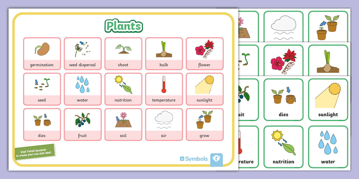 Twinkl Symbols: KS1 Plants Pack (teacher made) - Twinkl
