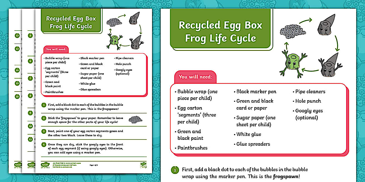 Recycled Egg Box Frog Life Cycle Craft Instructions - Twinkl