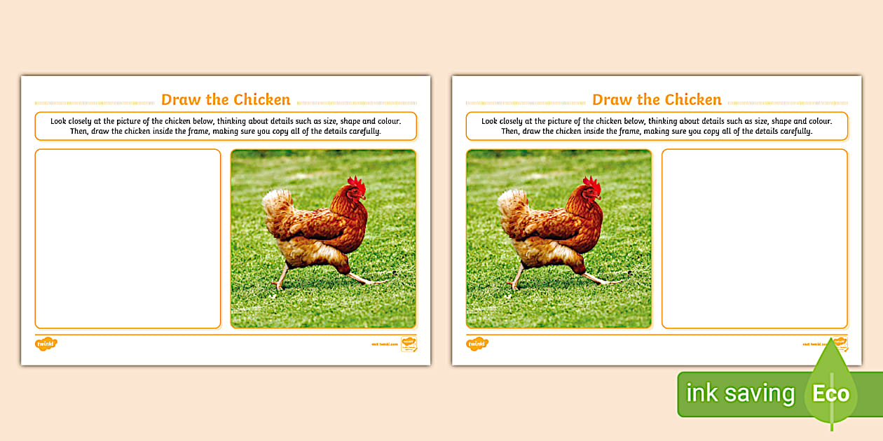 Draw the Chicken Art Activity (Teacher-Made) - Twinkl