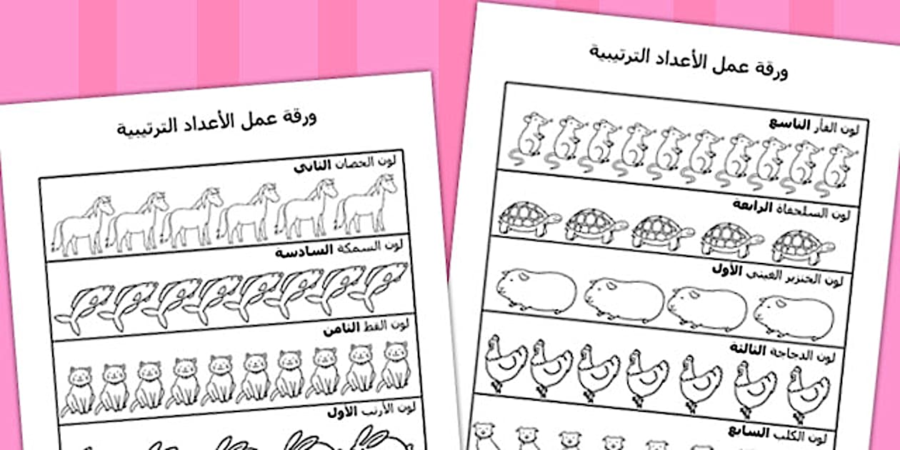 ورقة نشاط الأرقام الترتيبية - الأرقام الترتيبية، موارد تعليمية