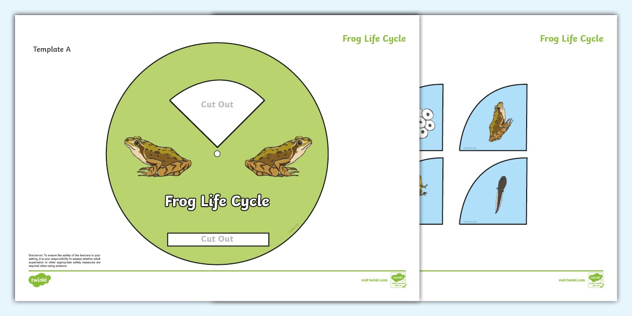 Frog Life Cycle Spinning Wheel - Twinkl