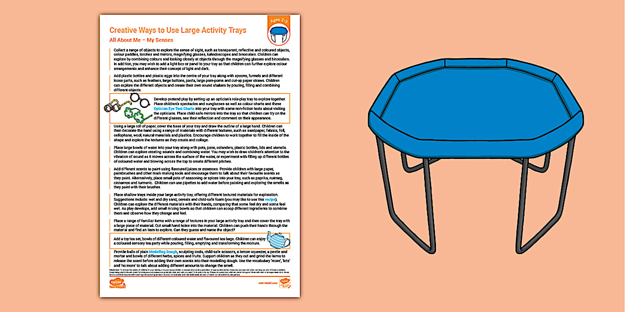 EYFS Ages 2-3 Large Activity Trays: All About Me - My Senses