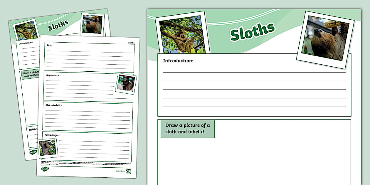 Sloths Non-Chronological Report Template (Teacher-Made)