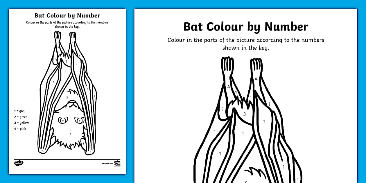 Bat Colour by Number (Teacher-Made) - Twinkl