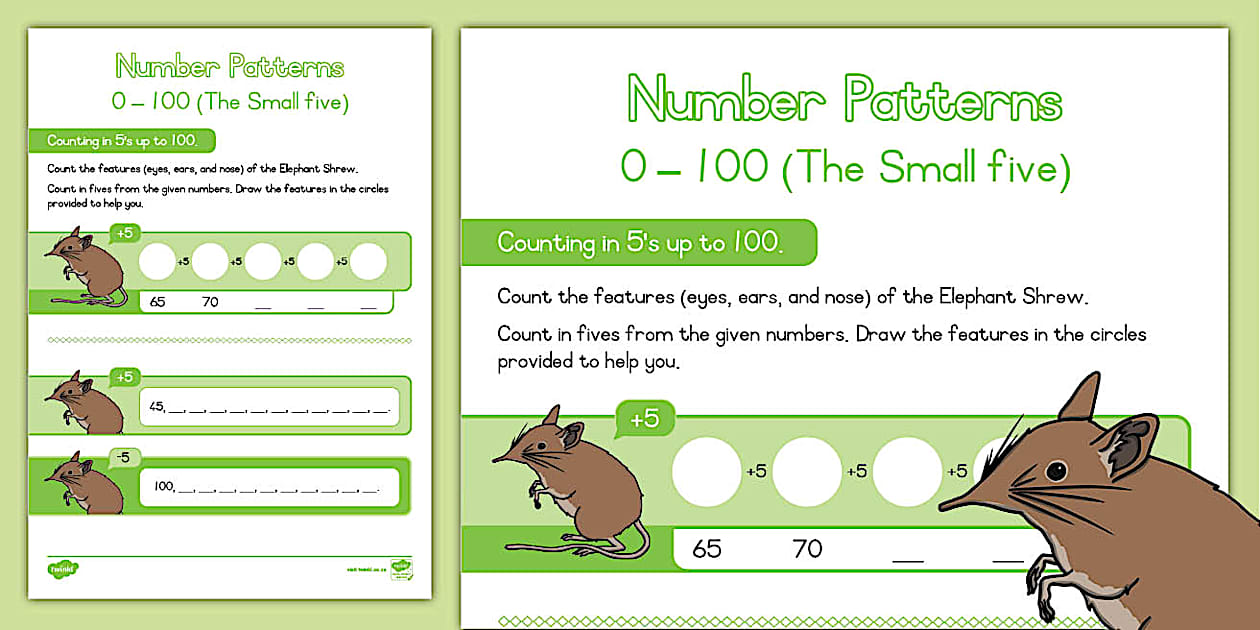 Grade 1 Maths: Number Patterns: 5's to 100 (teacher made)