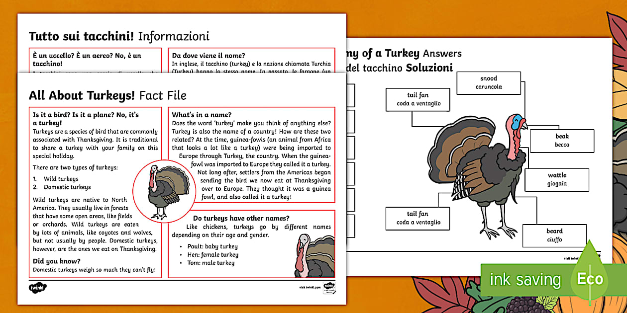 All About Turkeys Fact File Activity Pack English/Italian