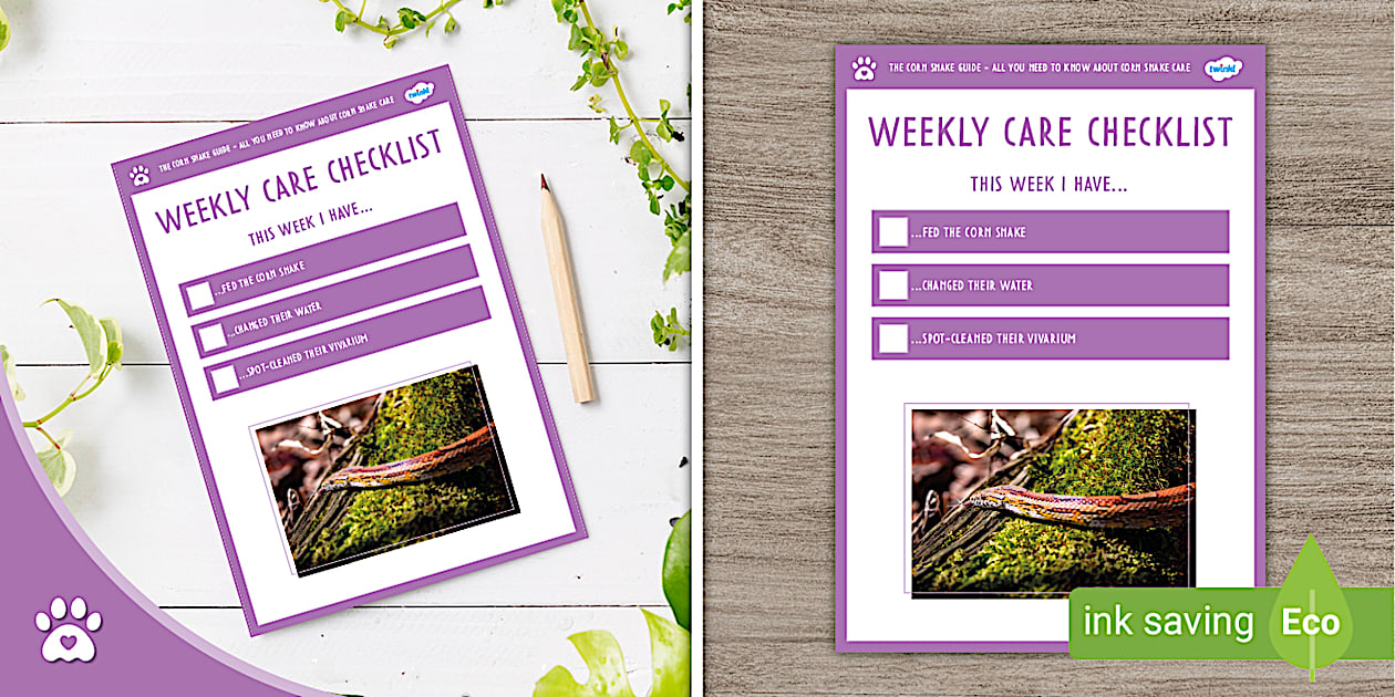 Corn Snake Care - Weekly Checklist - Snakes - Twinkl Pets