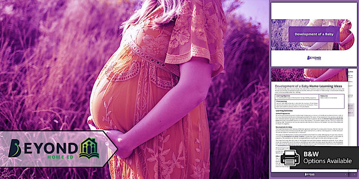 KS3 Reproduction: Development of a Baby (Science Home Learning)