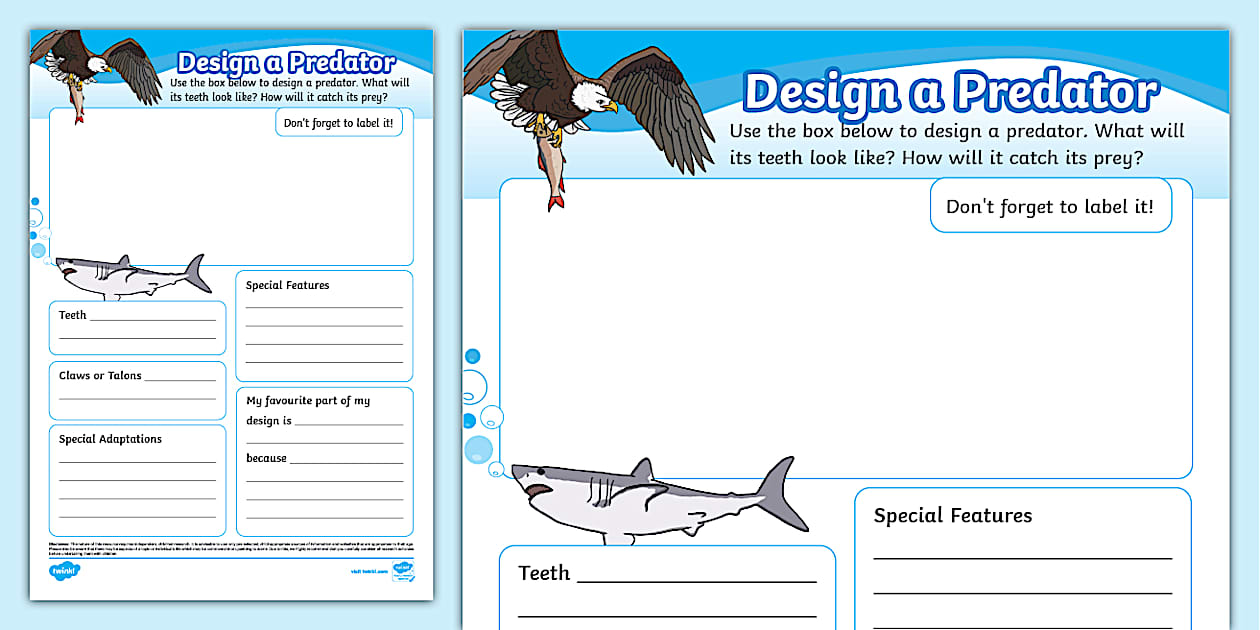 Design a Predator Worksheet (teacher made) - Twinkl