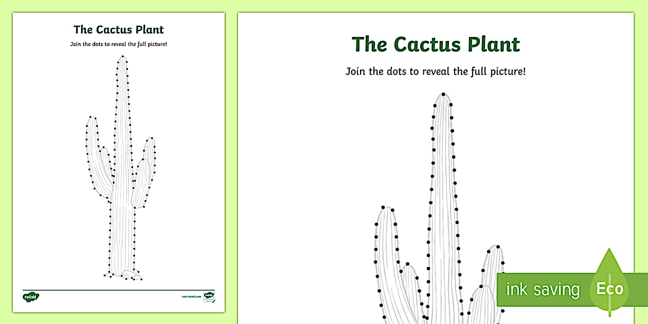 Cactus Plant Dot to Dot Worksheet / Worksheet (Teacher-Made)