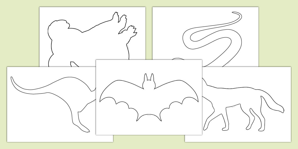 Australian Animal Stencil Set (teacher made) - Twinkl