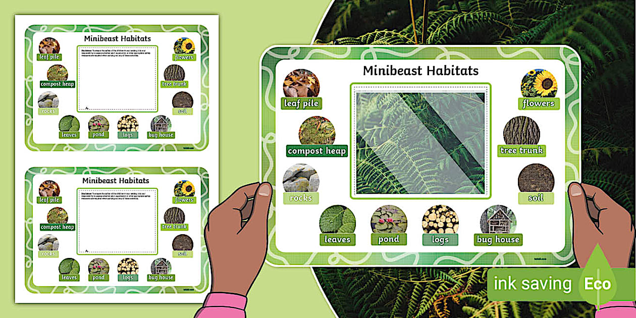 I Spy Nature Frame: Minibeast Habitats | Twinkl - Twinkl