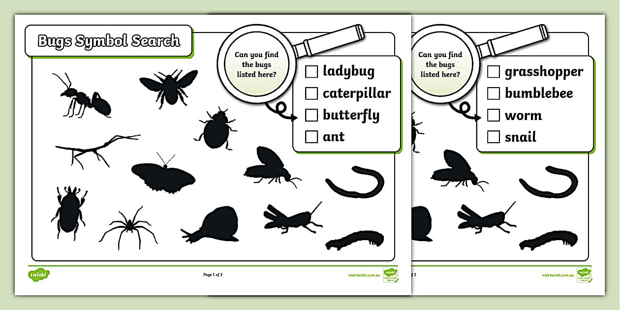 Bug Symbol Search (teacher made) - Twinkl