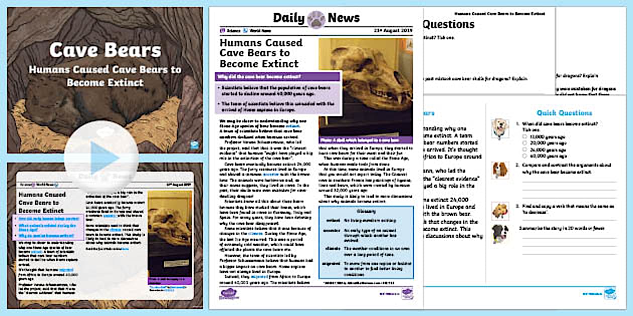 Cave Bear Stone Age Comprehension Pack | Twinkl NewsRoom