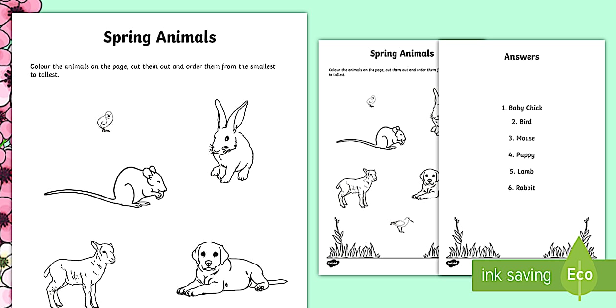 Spring Measuring Animals Activity