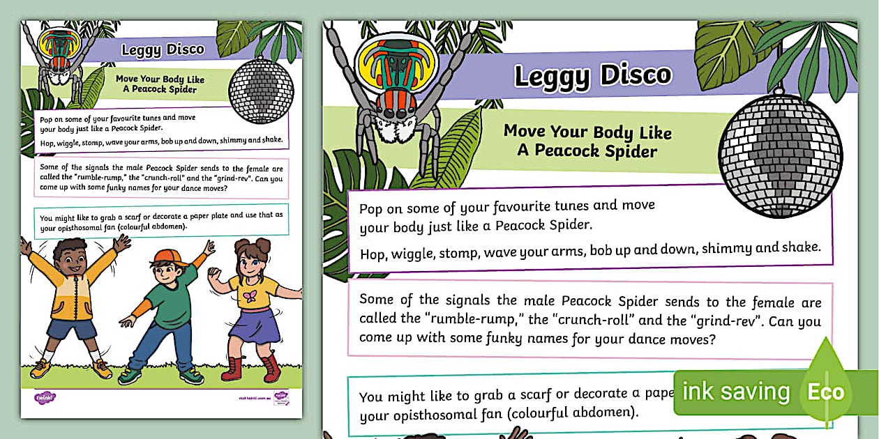 Peacock Spider Movement Activity Poster