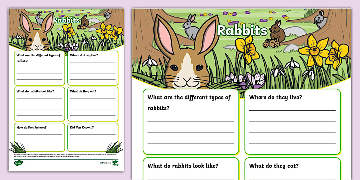 Rabbits Fact File Template - Twinkl English - Twinkl