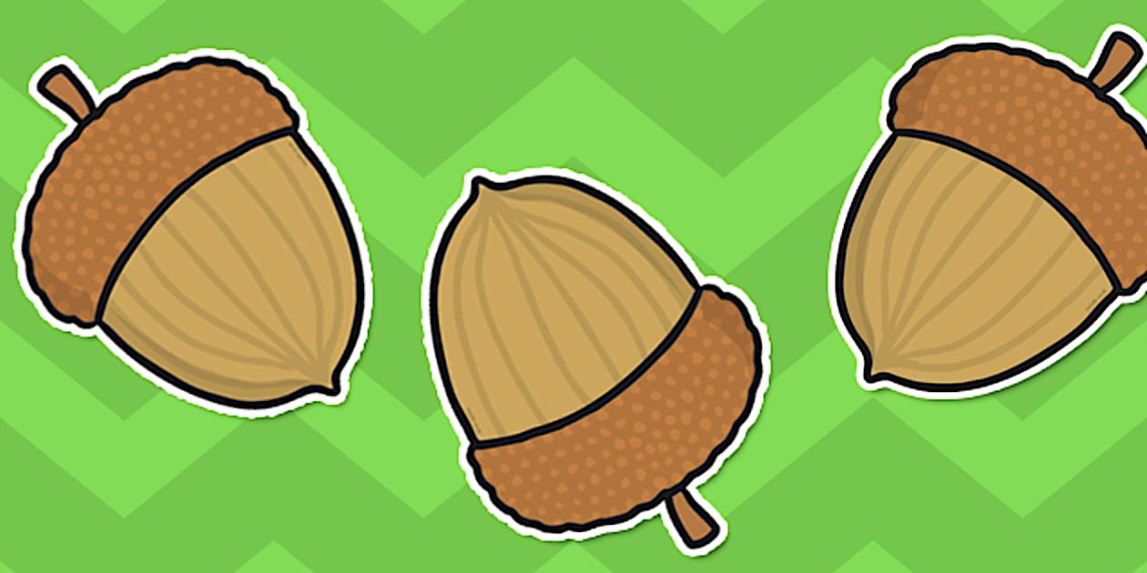Acorn Display Cut-Out (Teacher-Made) - Twinkl