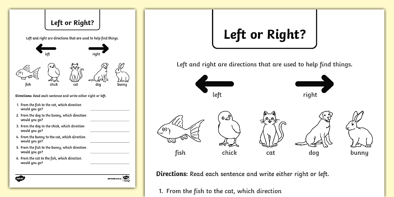 Left or Right Directional Awareness Activity (teacher made)