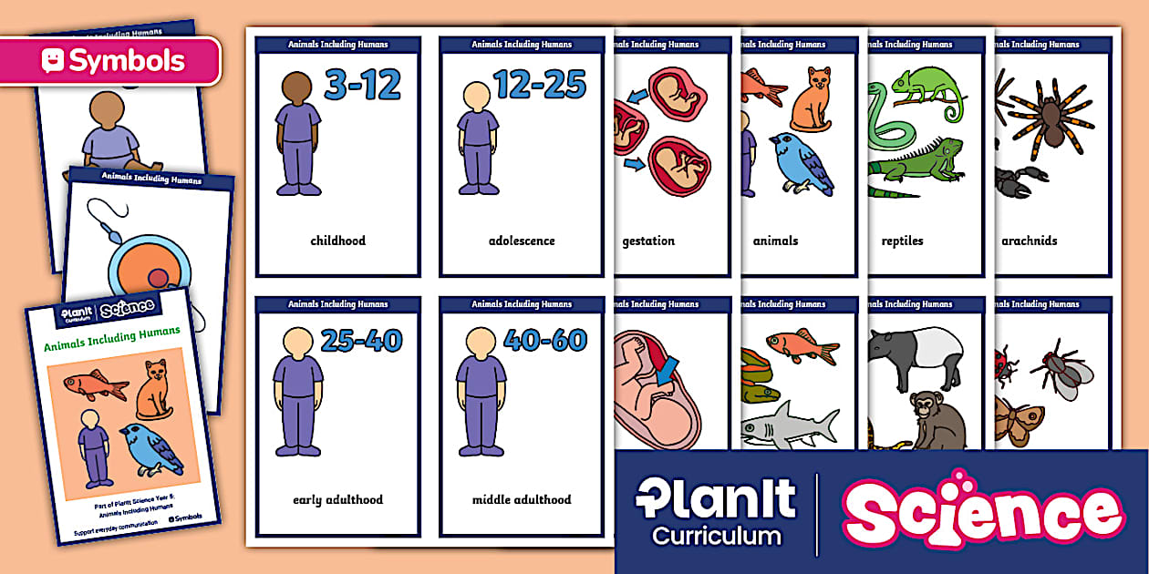 Twinkl Symbols: Animals Including Humans: Year 5: Flashcards