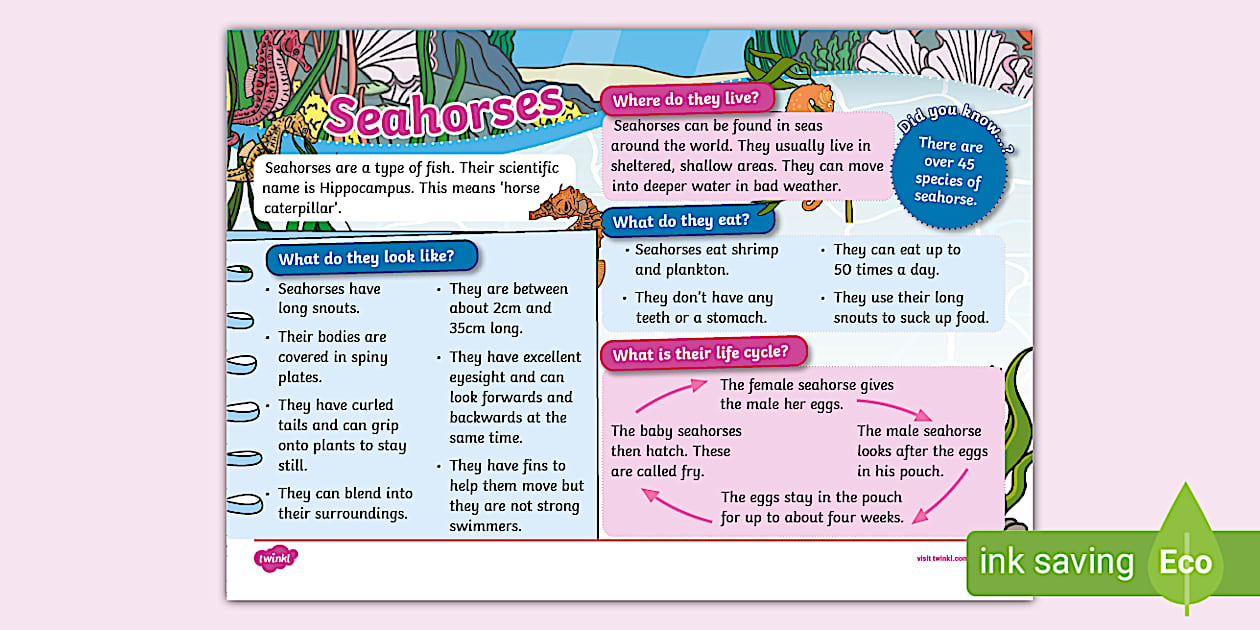Editable KS1 Seahorses Fact File (Lehrer gemacht) - Twinkl