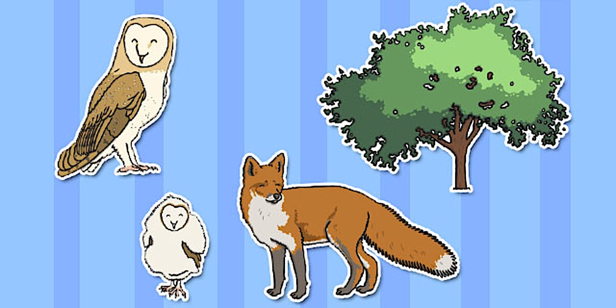 Owl Story Cut Outs (teacher made) - Twinkl