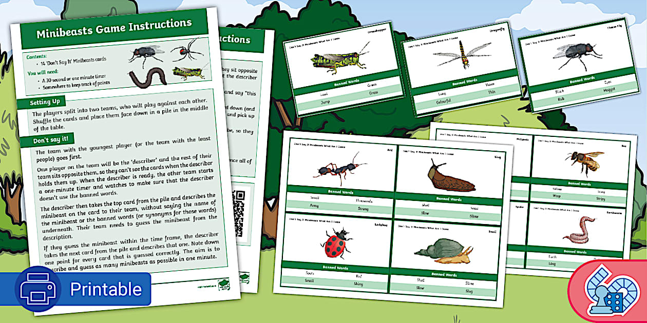 What Am I? Minibeast Game - Don't Say It Game (teacher made)