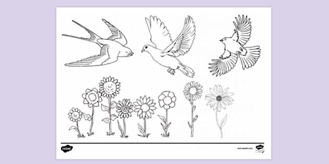 Birds and Flowers Colouring Sheet | Colouring Sheets