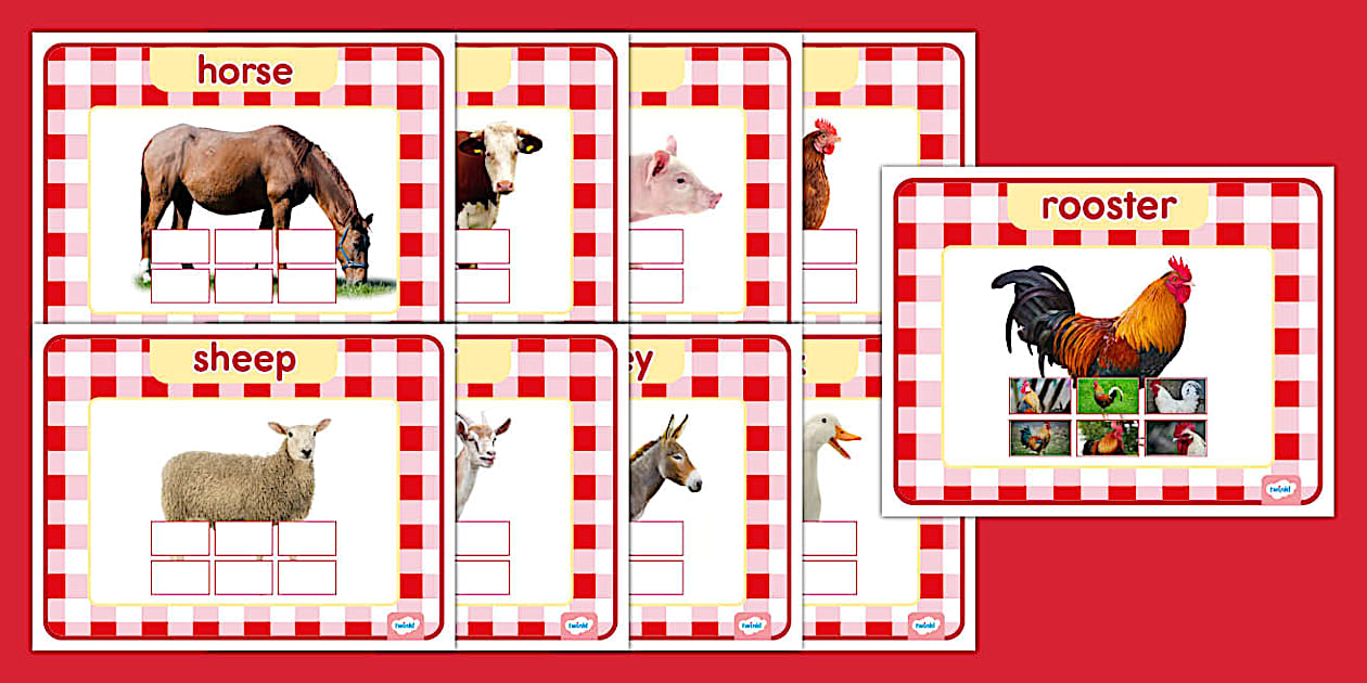 Farm Animal Sorting Activity Mats for Kids | Twinkl USA