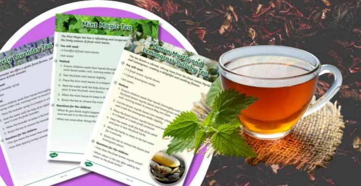 What Is International Tea Day? | United Nations Event