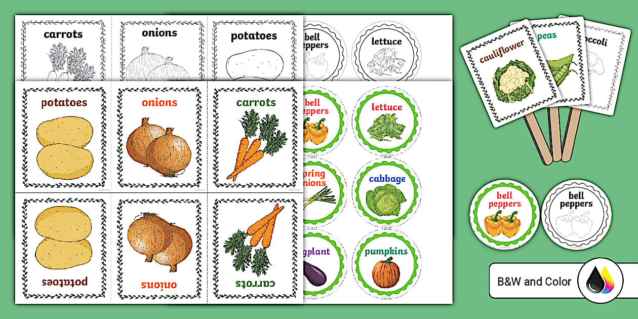 Vegetable Garden Labels (Teacher-Made) - Twinkl