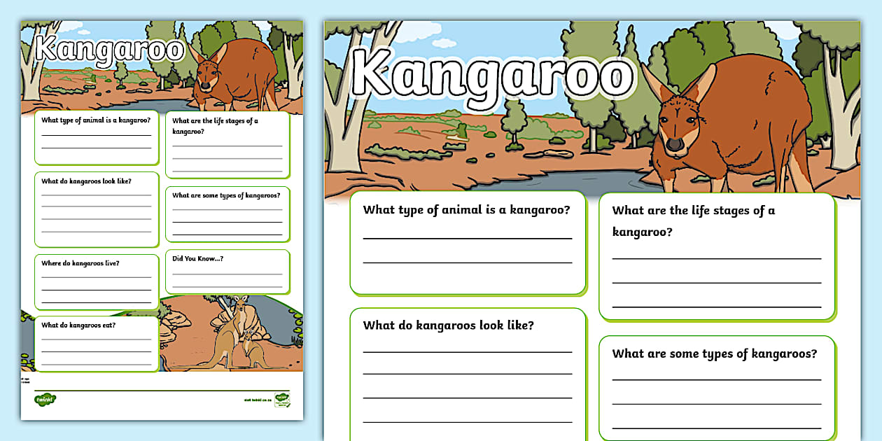 KS1 Kangaroo Fact File Template (teacher made) - Twinkl