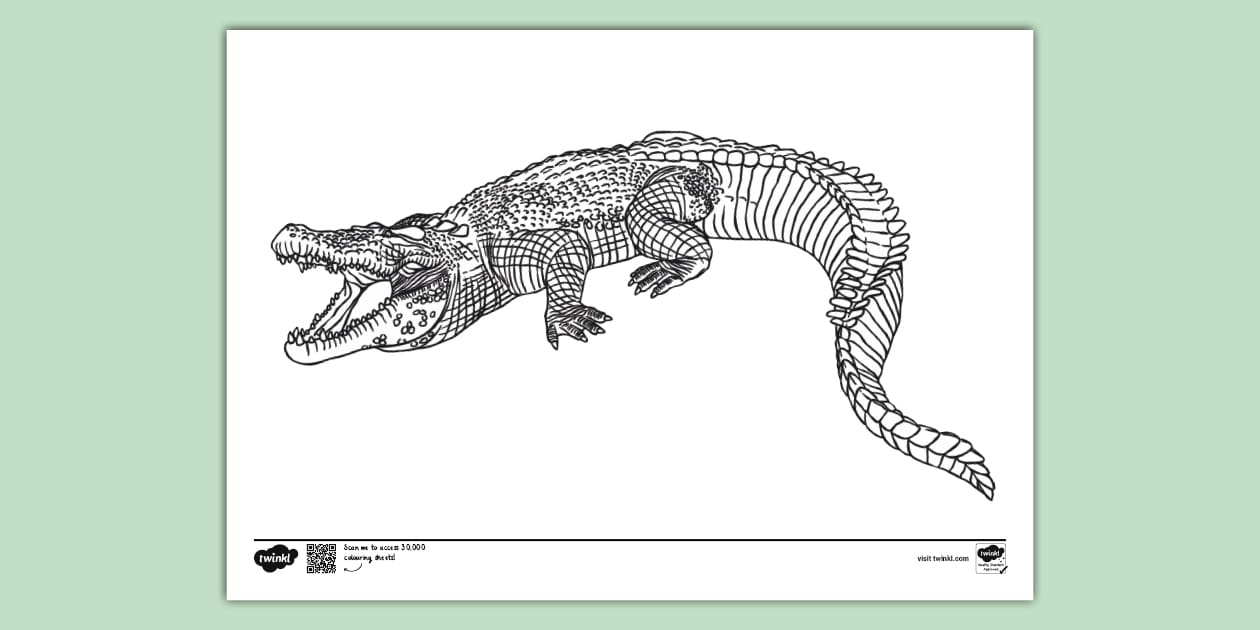 Crocodile Colouring Sheet - Parents - Fun Stuff - Twinkl