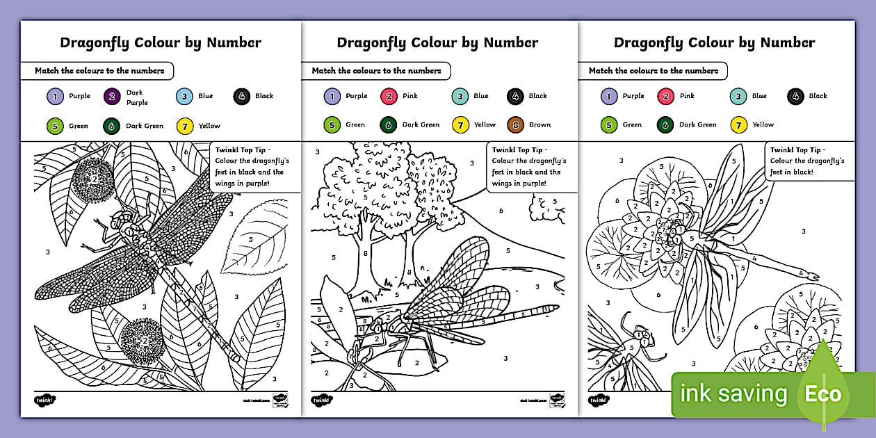 Dragonfly Colour by Number Pages for relaxation - Twinkl