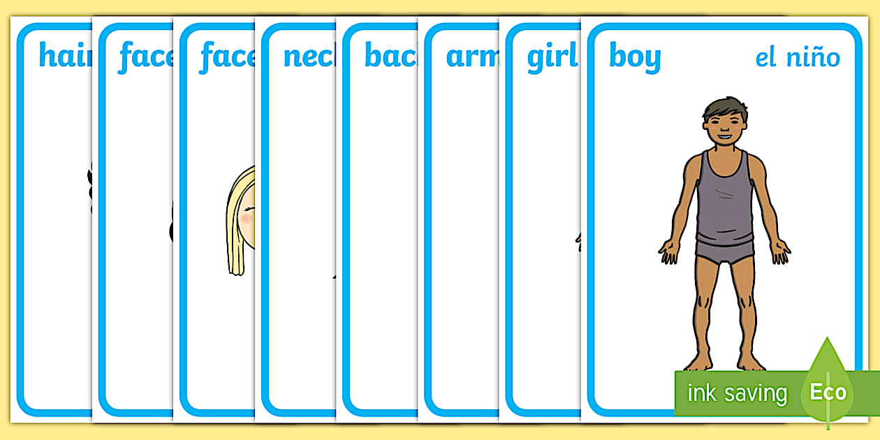 Parts of the Body Display Poster English/Spanish - Twinkl