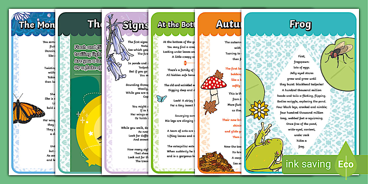 KS1 Bumper Nature Poetry Pack (teacher made) - Twinkl