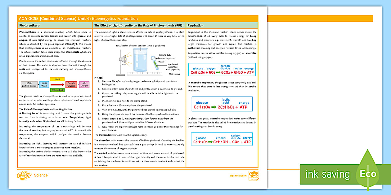 Bioenergetics Knowledge Organiser | AQA Science | Beyond