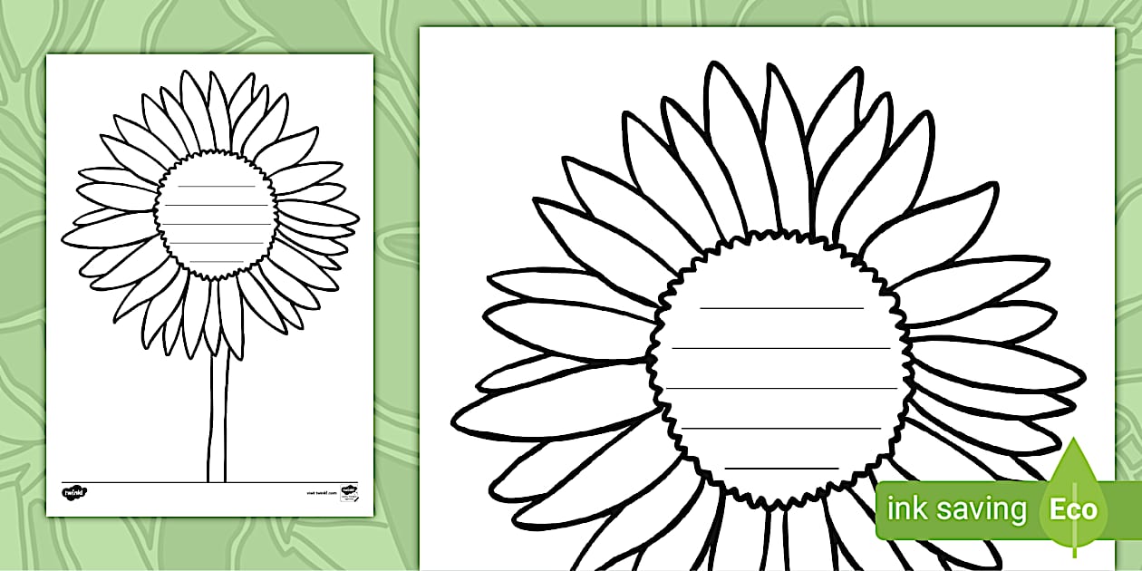 Sunflower Writing Template (teacher made) - Twinkl