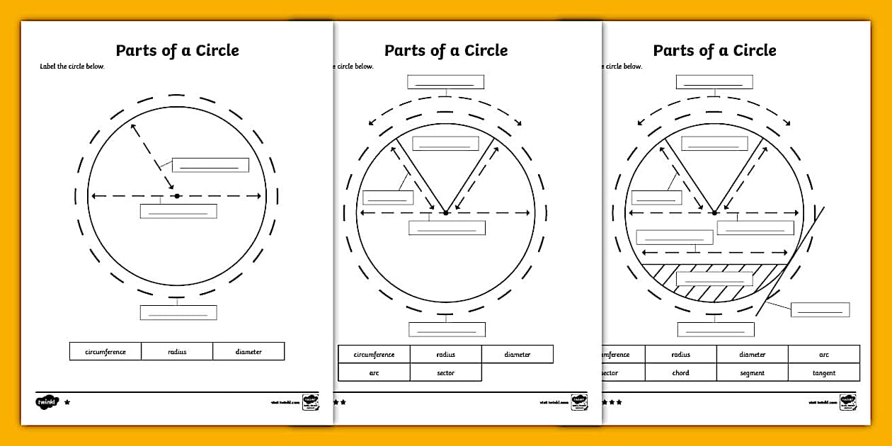 Parts of a Circle Differentiated Worksheet for 6th-8th Grade