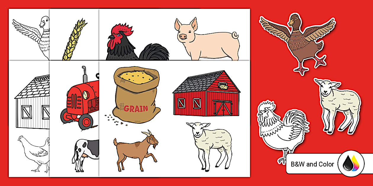Down on the Farm Theme Cutouts (teacher made) - Twinkl