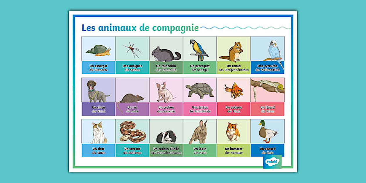 Les animaux de compagnie - français allemand (Teacher-Made)