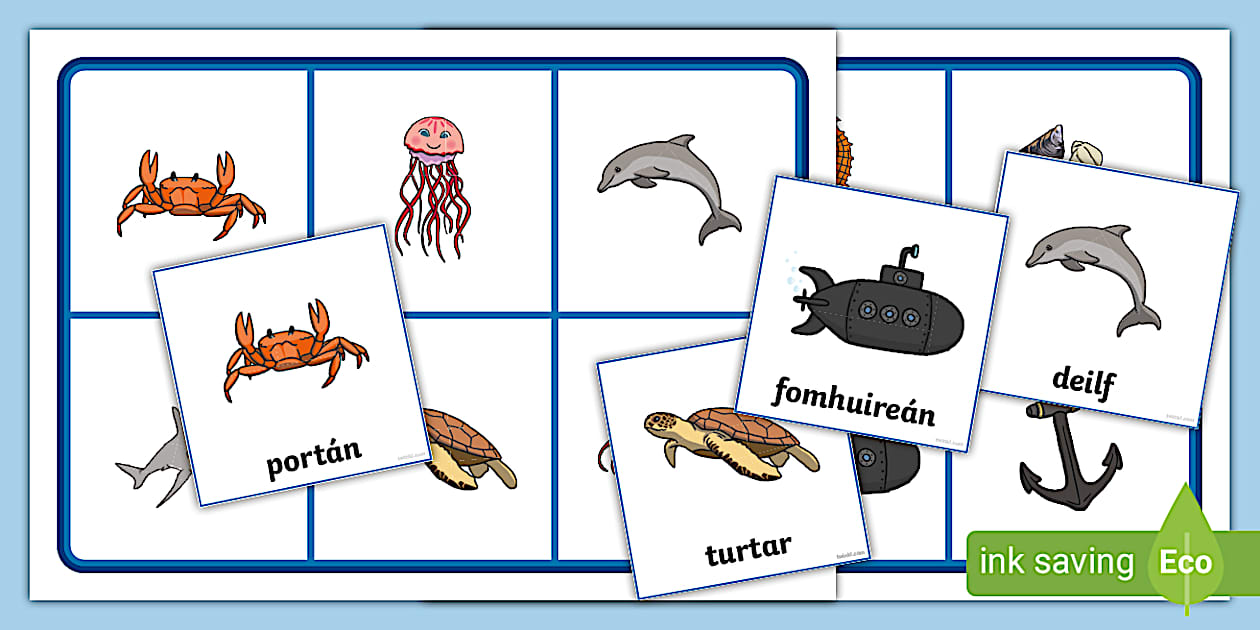 Ainmhithe Faoin Fharraige Biongó (teacher made) - Twinkl