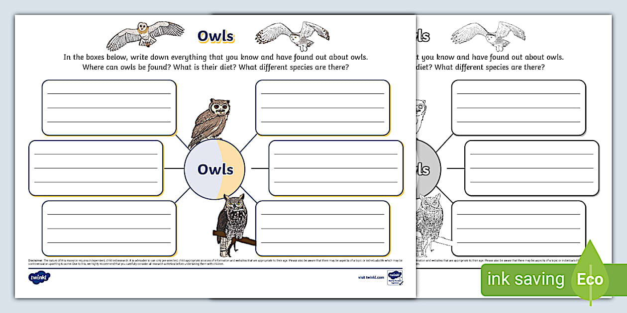 Owls Mind Map (Teacher-Made) - Twinkl