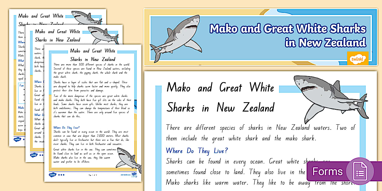 Mako and Great White Shark Reading Comprehension - Twinkl