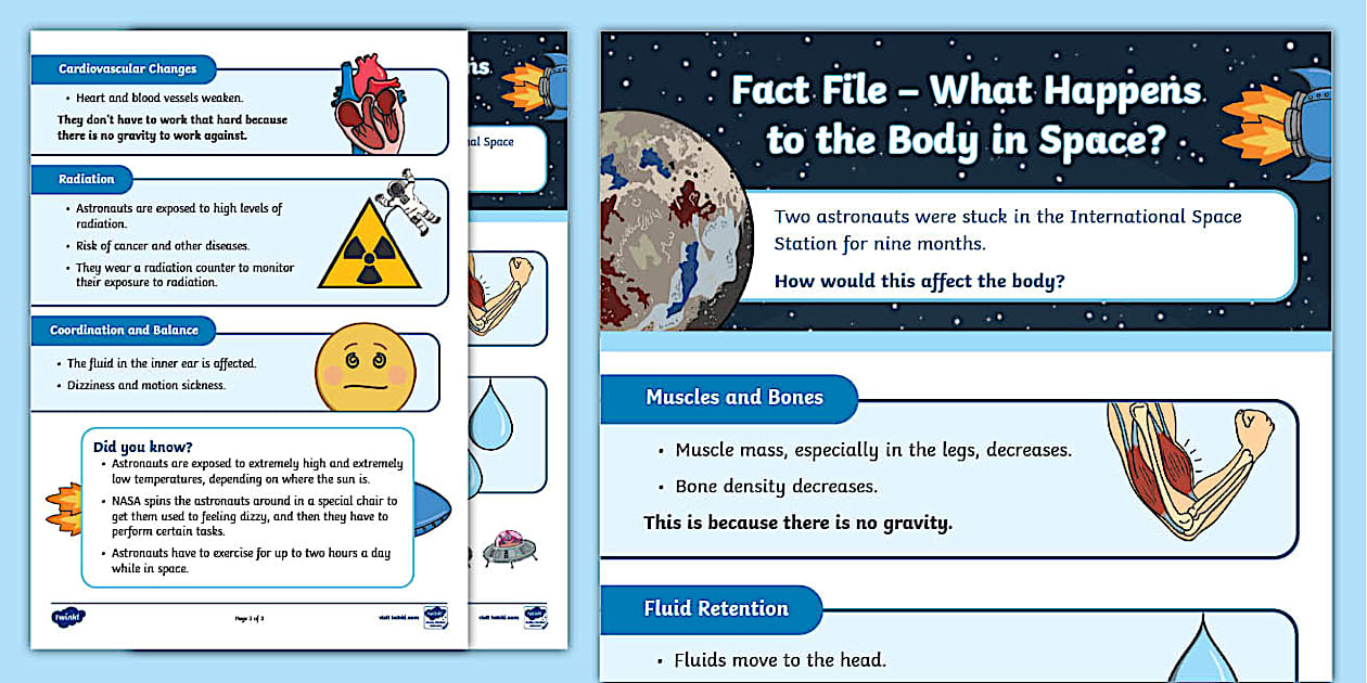 Gr 3: What Happens to the Body in Space Fact File - Twinkl
