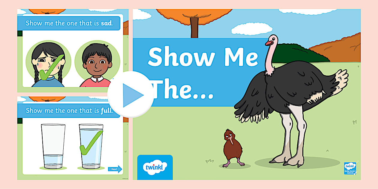 Show Me The... Basic Concept PowerPoint - (teacher made) Show Me The... Basic Concept PowerPoint - (teacher made)