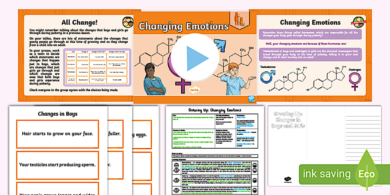 PSHE: LKS2 Growing Up - Lesson Pack 4