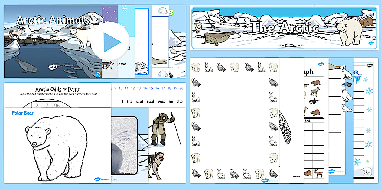 The Arctic Resource Pack (teacher made) - Twinkl